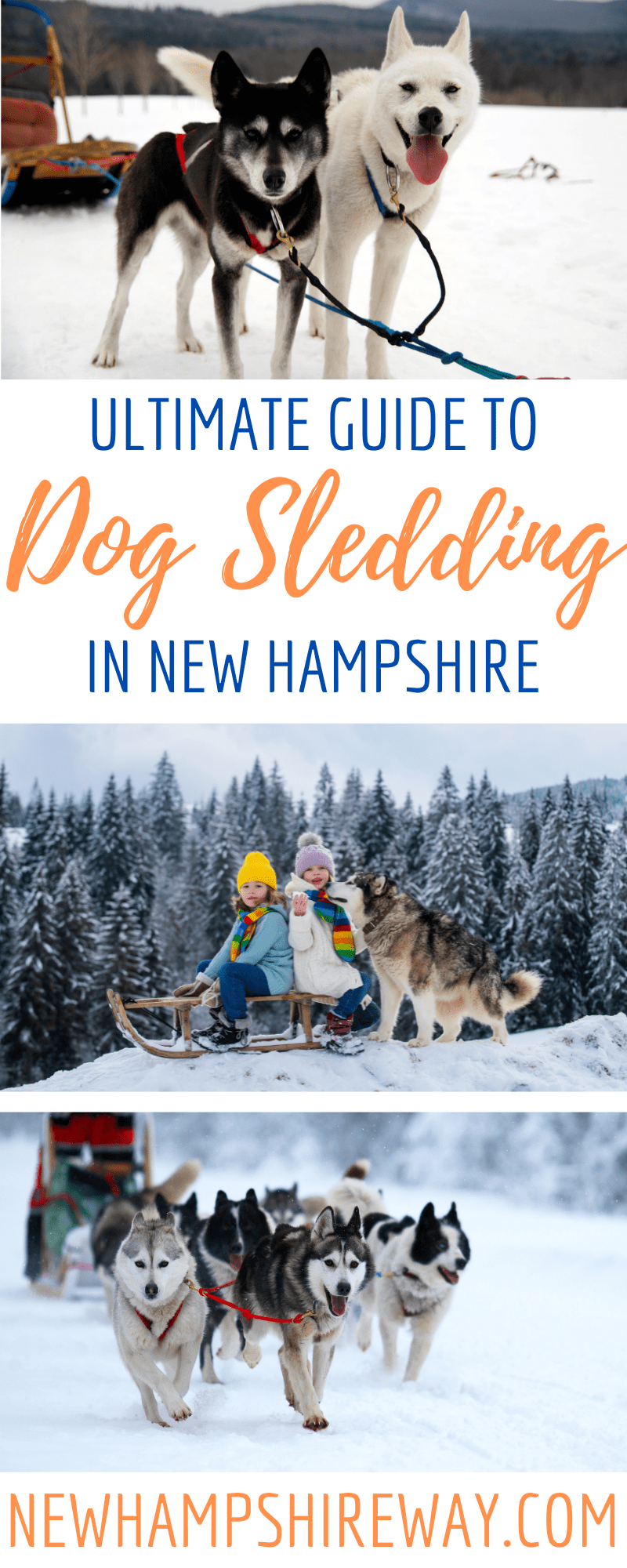 Where to Go Dog Sledding, New Hampshire in 2022 - New Hampshire Way