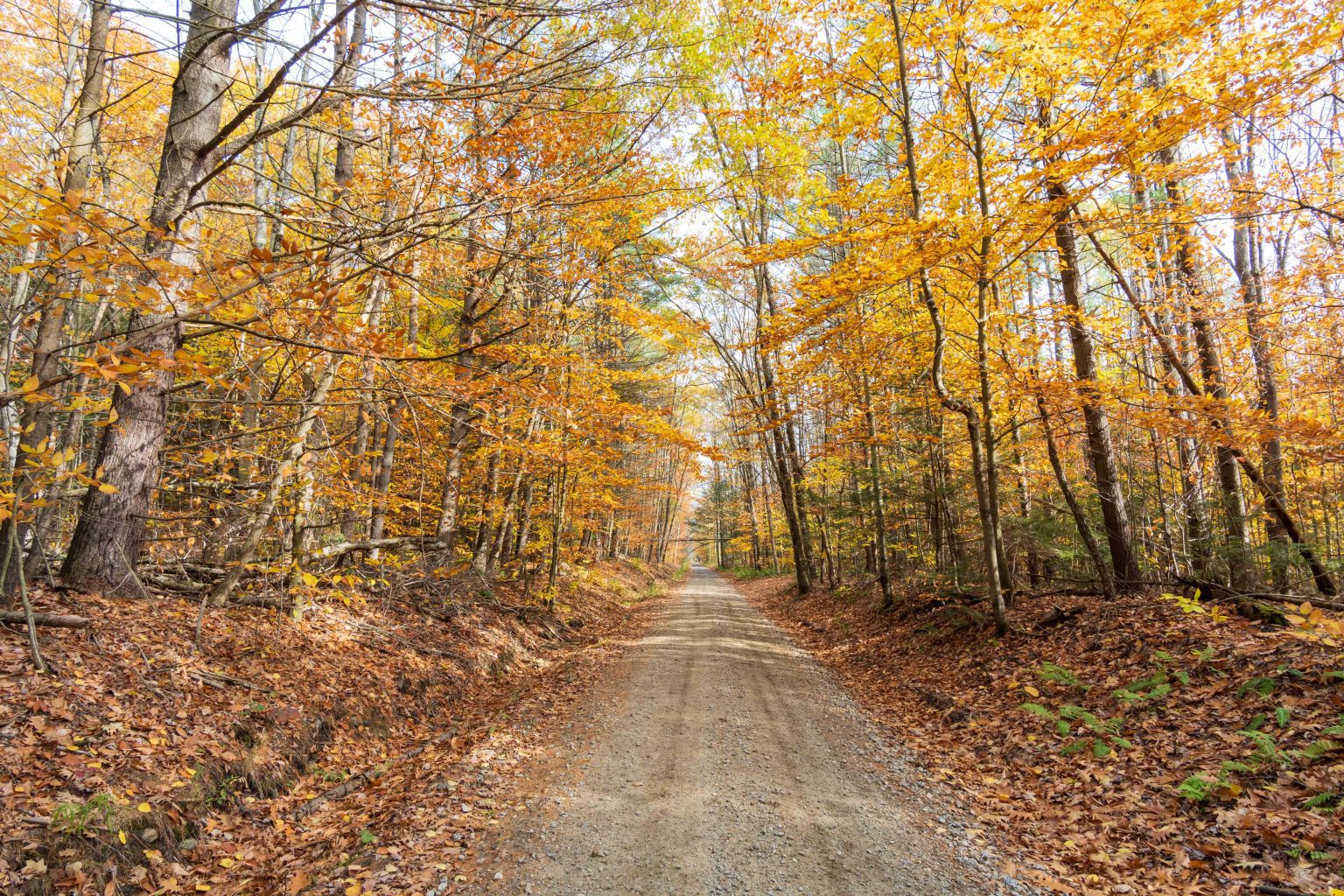 27 Cool Things To Do in Keene, NH