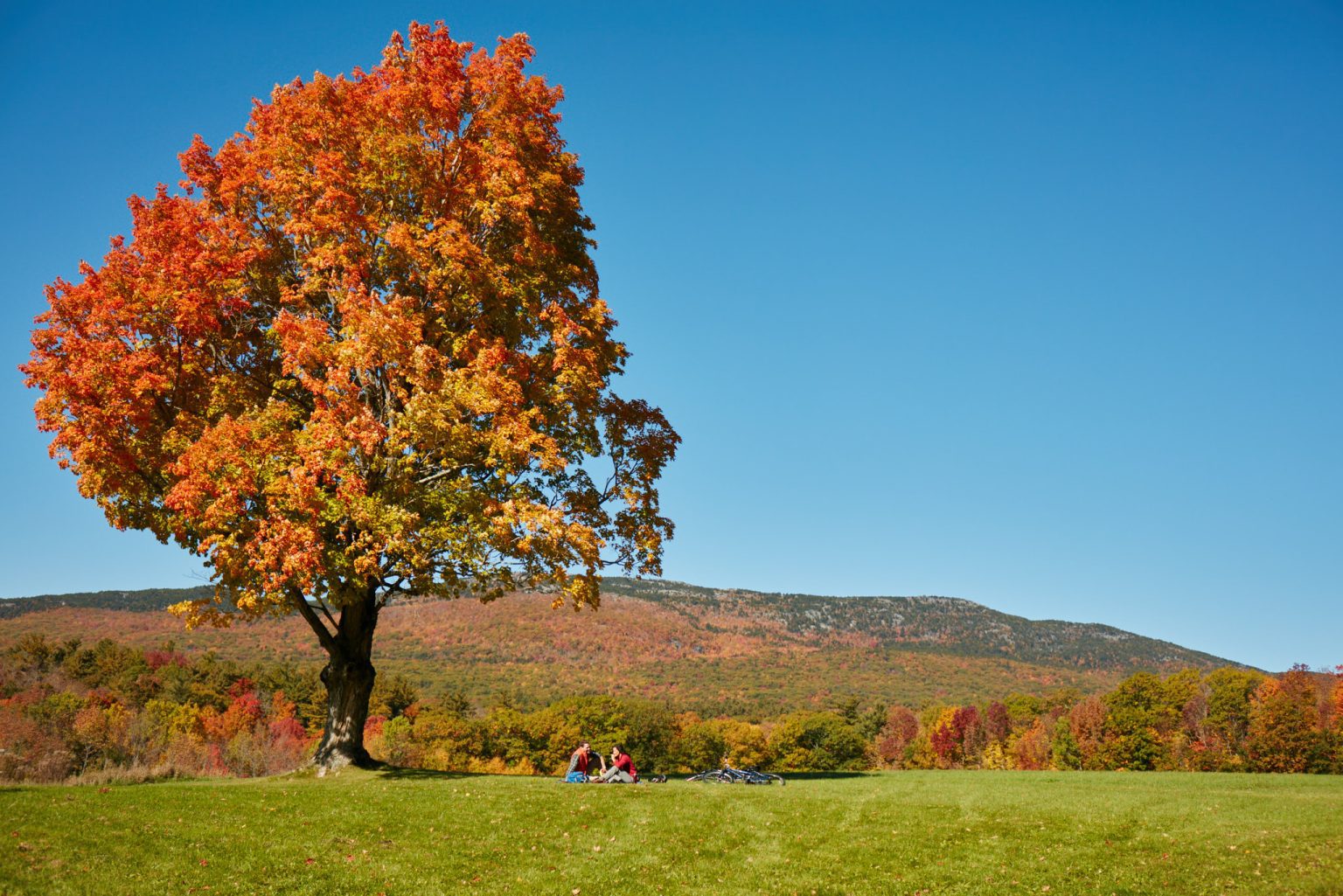 New Hampshire Fall Foliage 2023: Where to Go & When