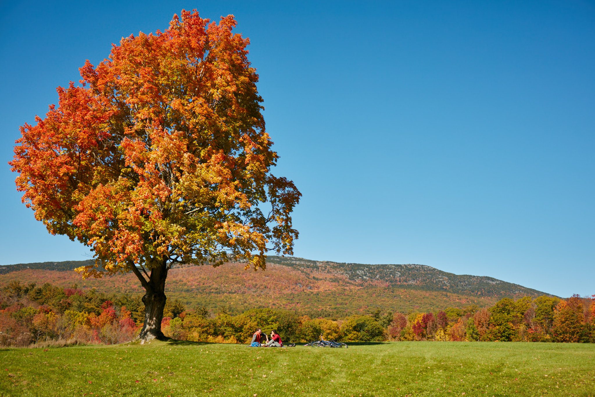 New Hampshire Fall Foliage 2023: Where to Go & When