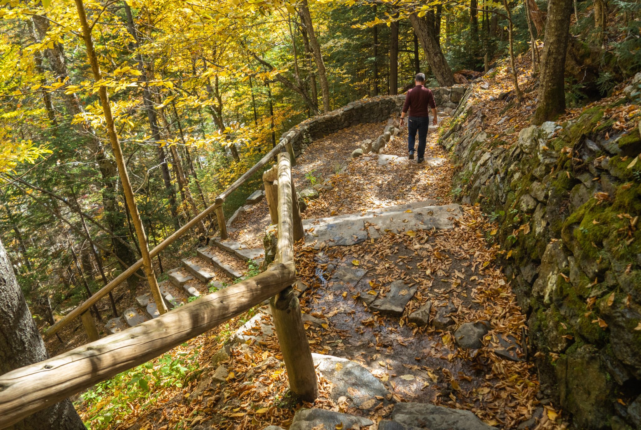 Tips for Visiting Glen Ellis Falls, NH - New Hampshire Way